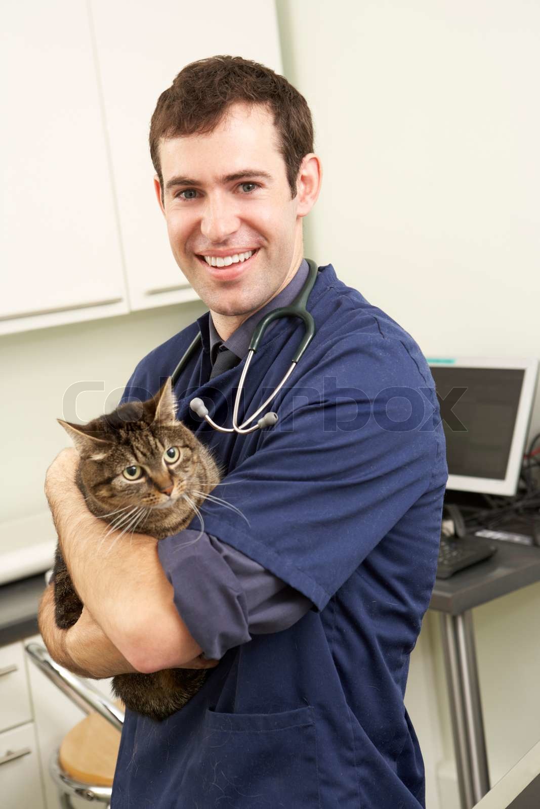 Male Veterinary Surgeon Holding Cat In Surgery | Stock image | Colourbox