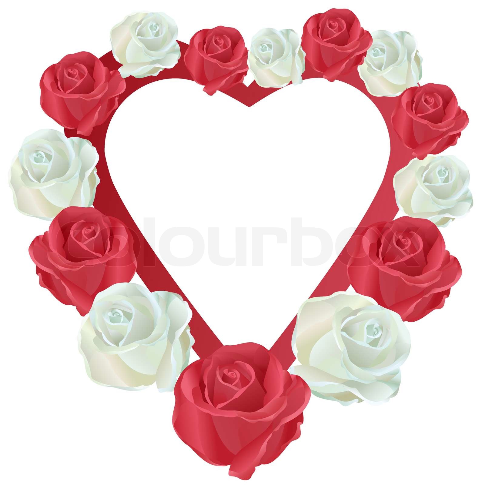 Herz mit weißen und roten roseseps | Stock-Vektor | Colourbox