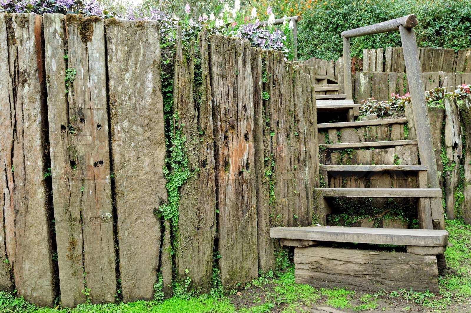 Wooden stair path | Stock image | Colourbox