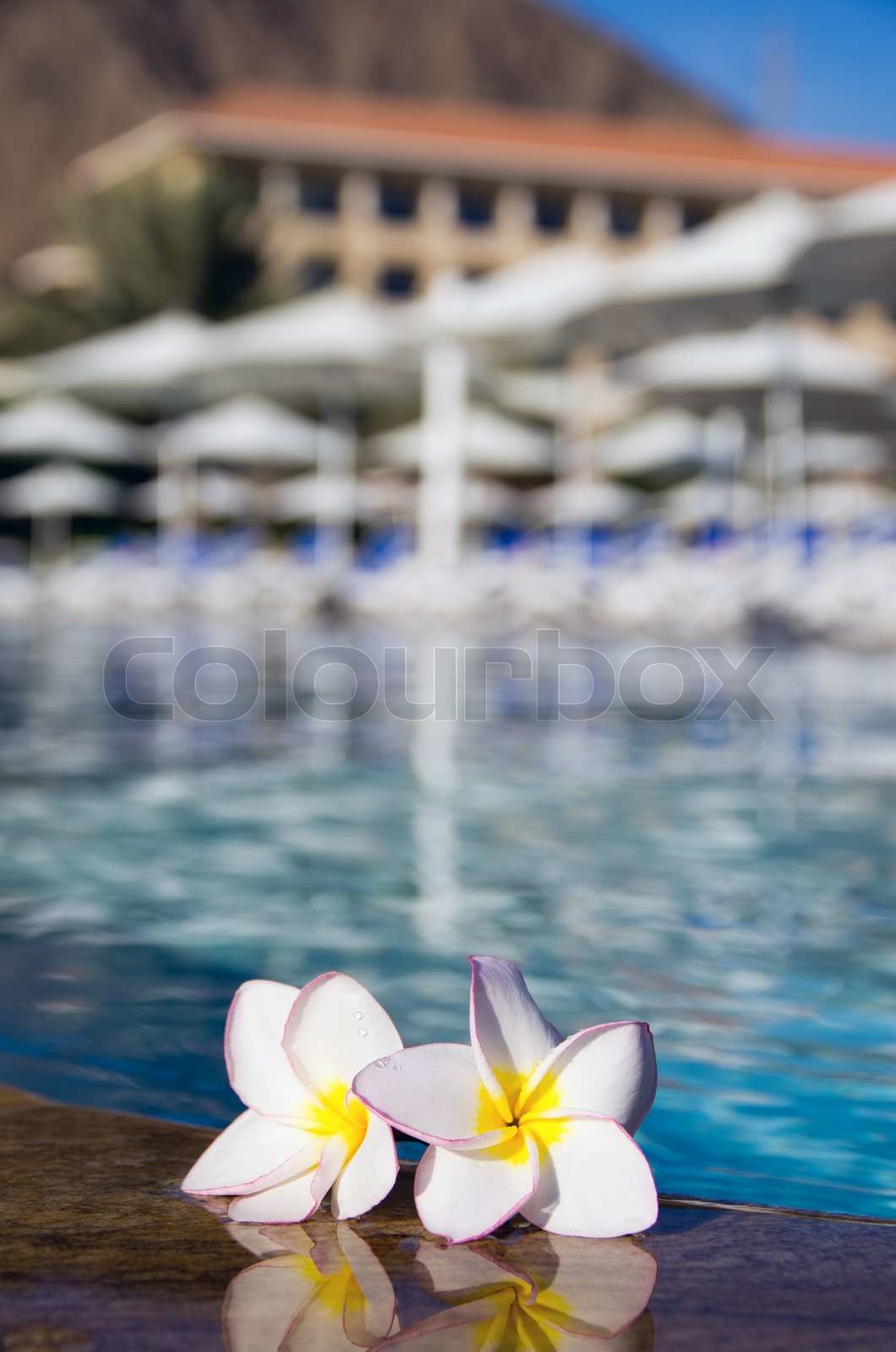 swimming pool | Stock image | Colourbox