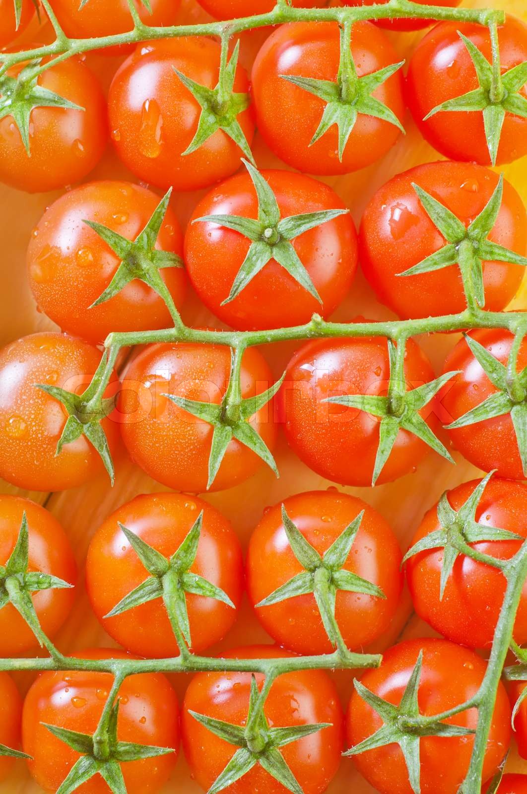 Tomate | Stock Bild | Colourbox