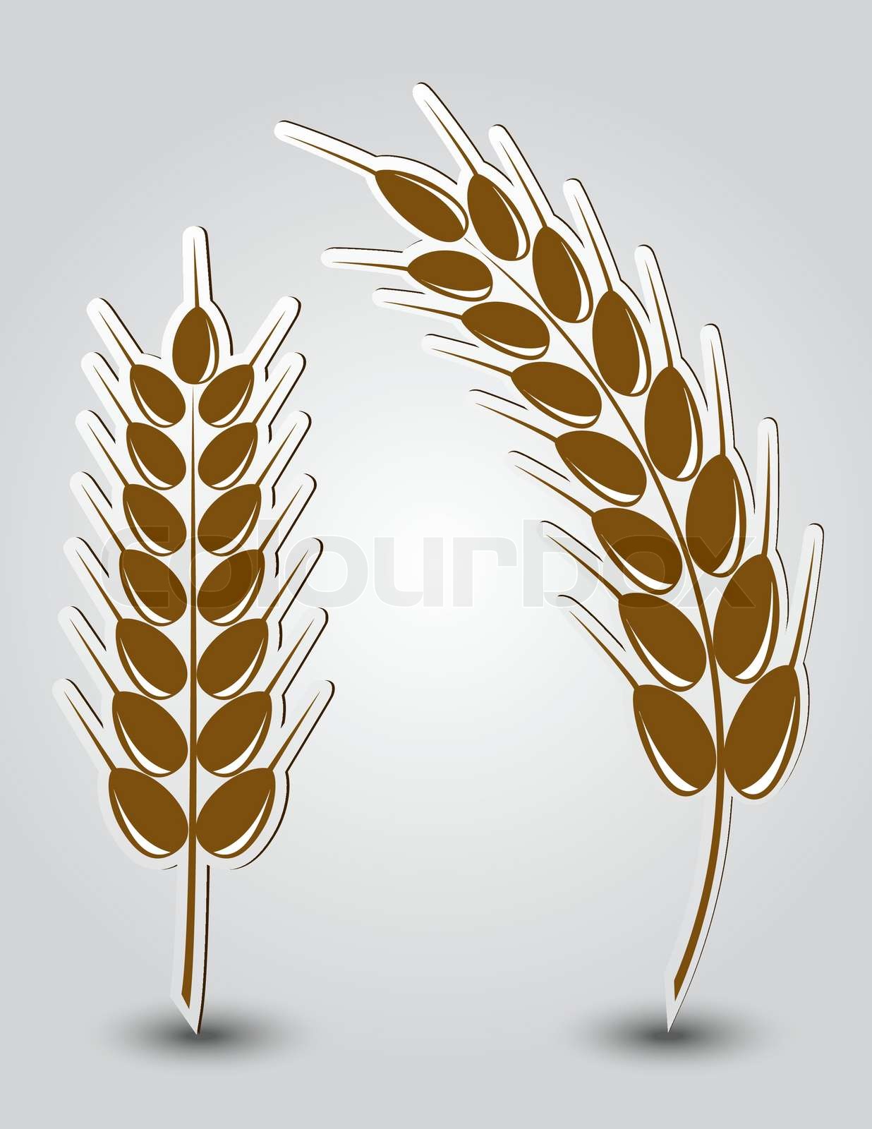 Stickers in the form of wheat ears | Stock vector | Colourbox