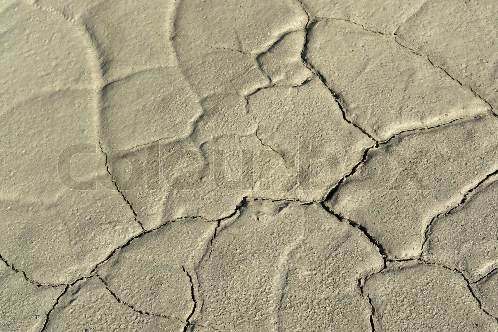 wet fissured mud | Stock image | Colourbox