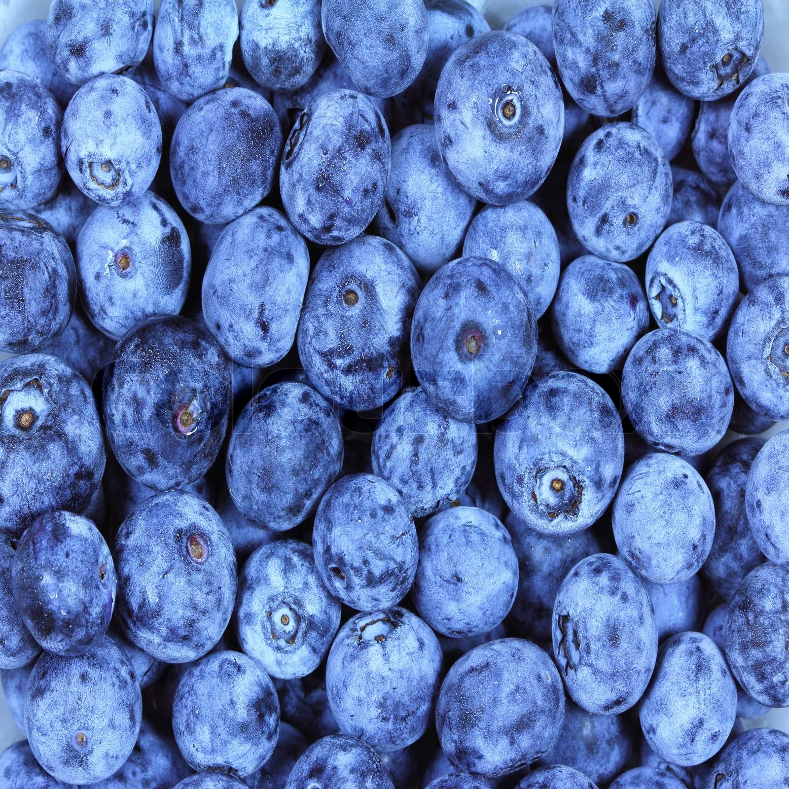frische Heidelbeeren | Stock Bild | Colourbox