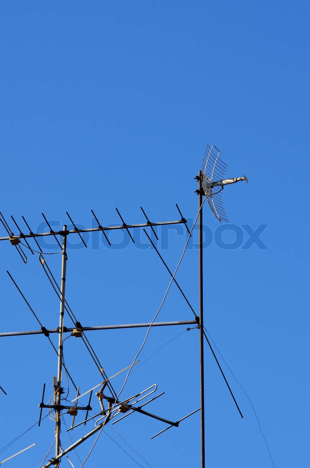 Fish-bone Antennas on blue sky | Stock image | Colourbox