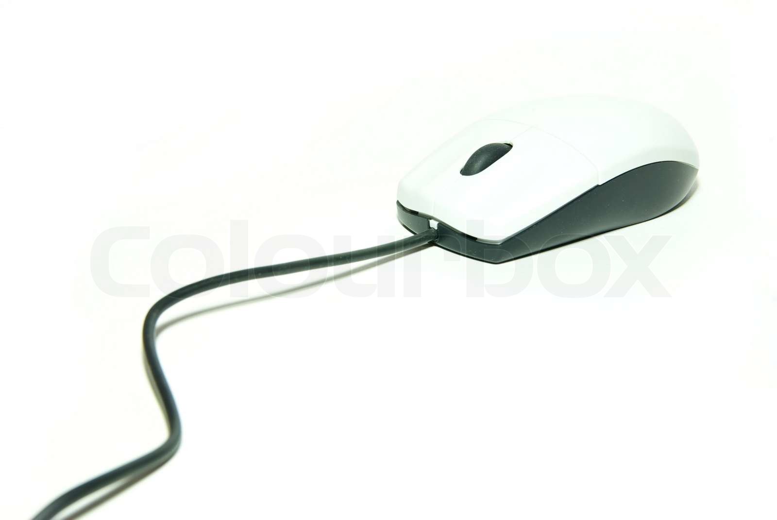 mouse | Stock image | Colourbox