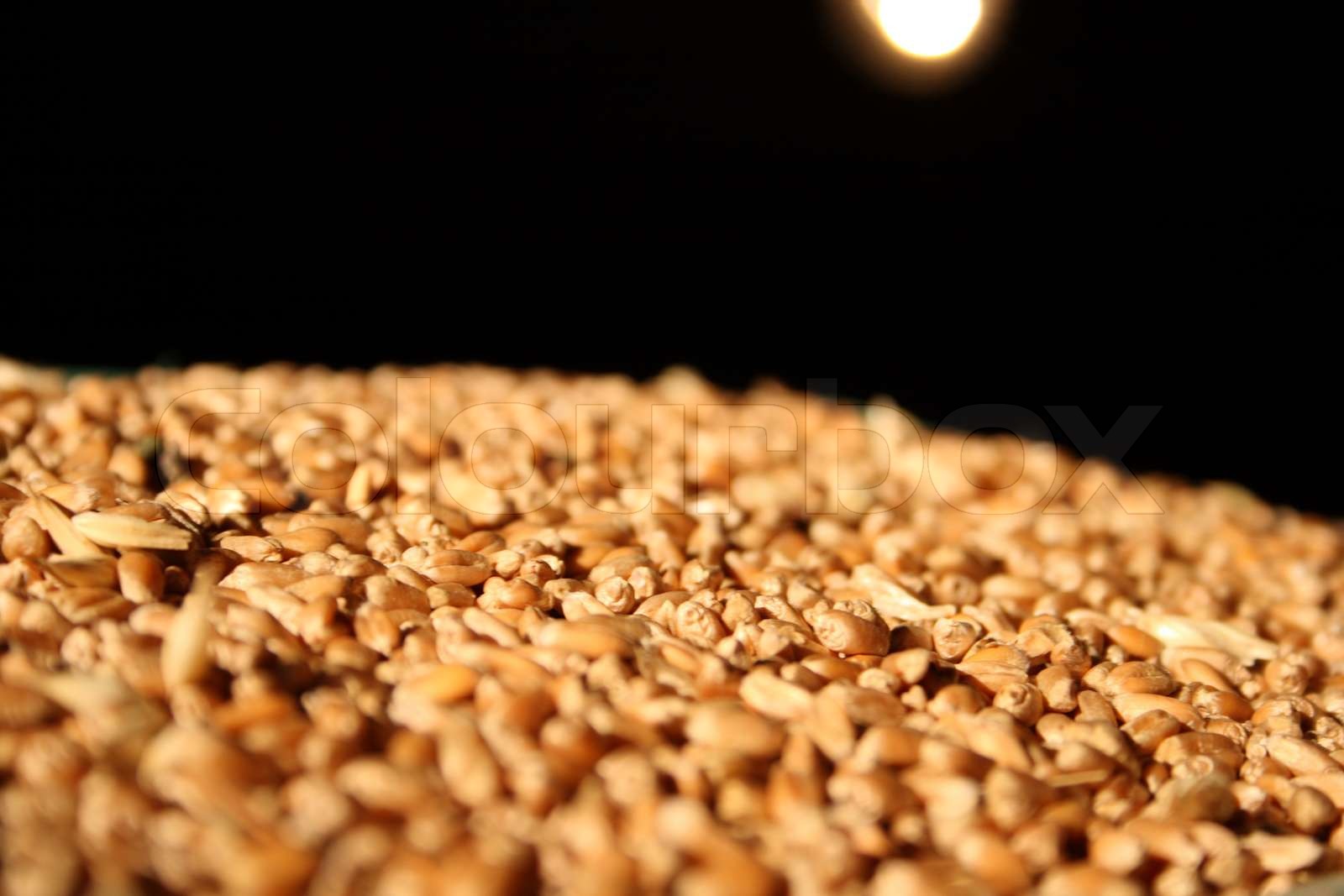 store a wheat | Stock image | Colourbox