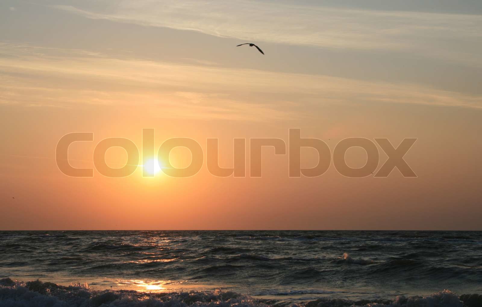 sun and rise | Stock image | Colourbox