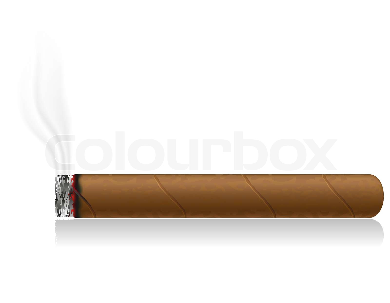 burning cigar vector illustration | Stock vector | Colourbox