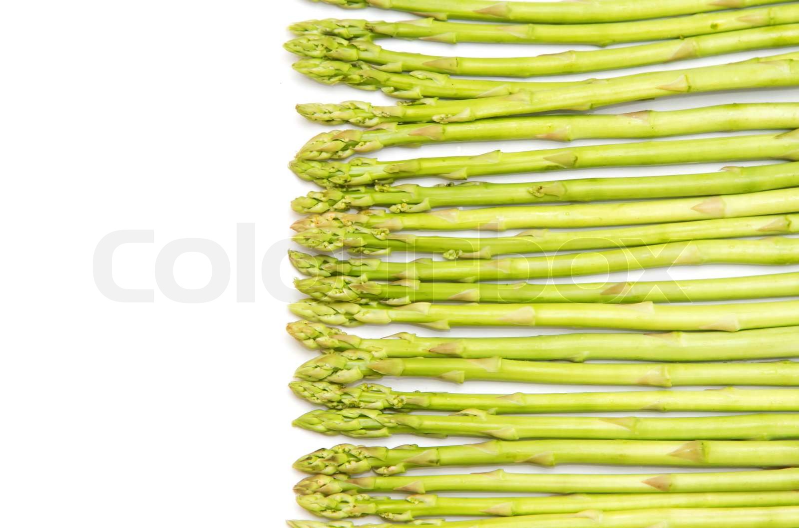 grüner Spargel auf einem weißen Hintergrund | Stock Bild | Colourbox