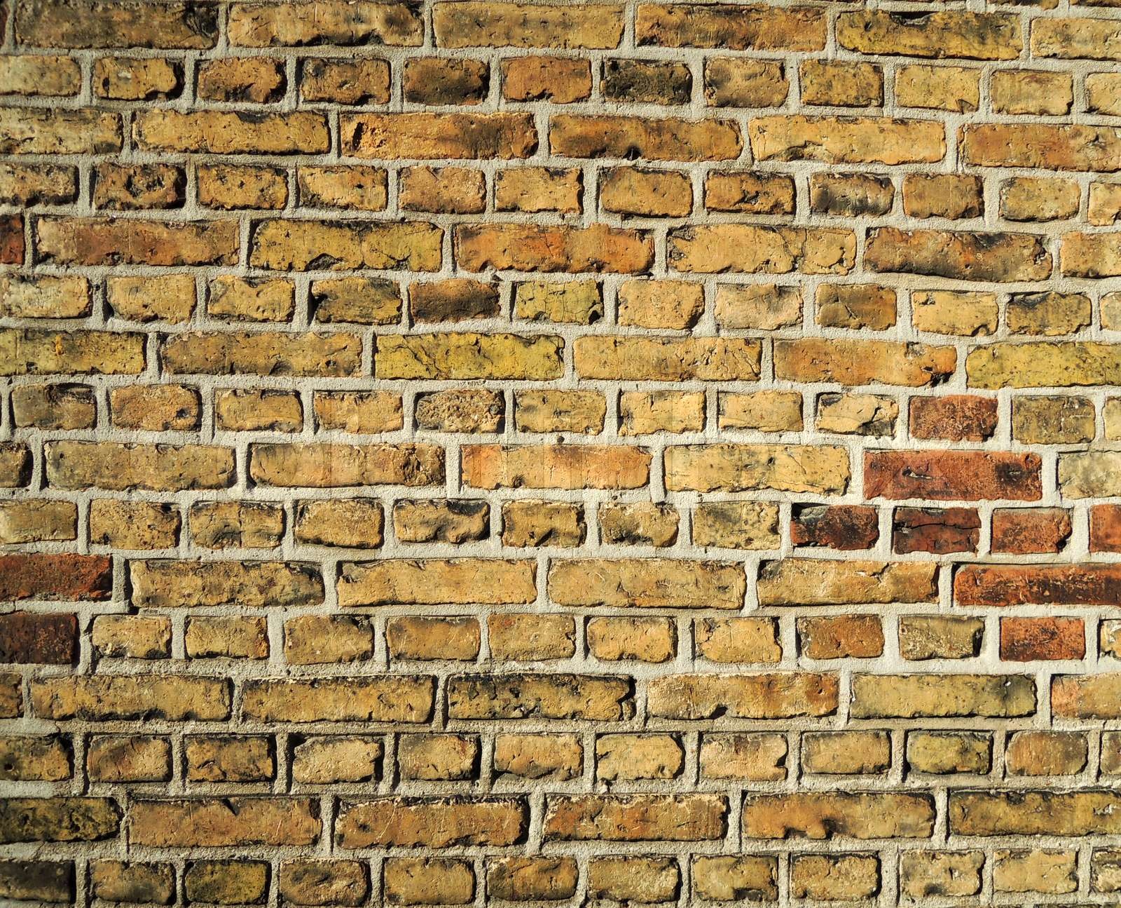 Gul mur | Stock foto | Colourbox