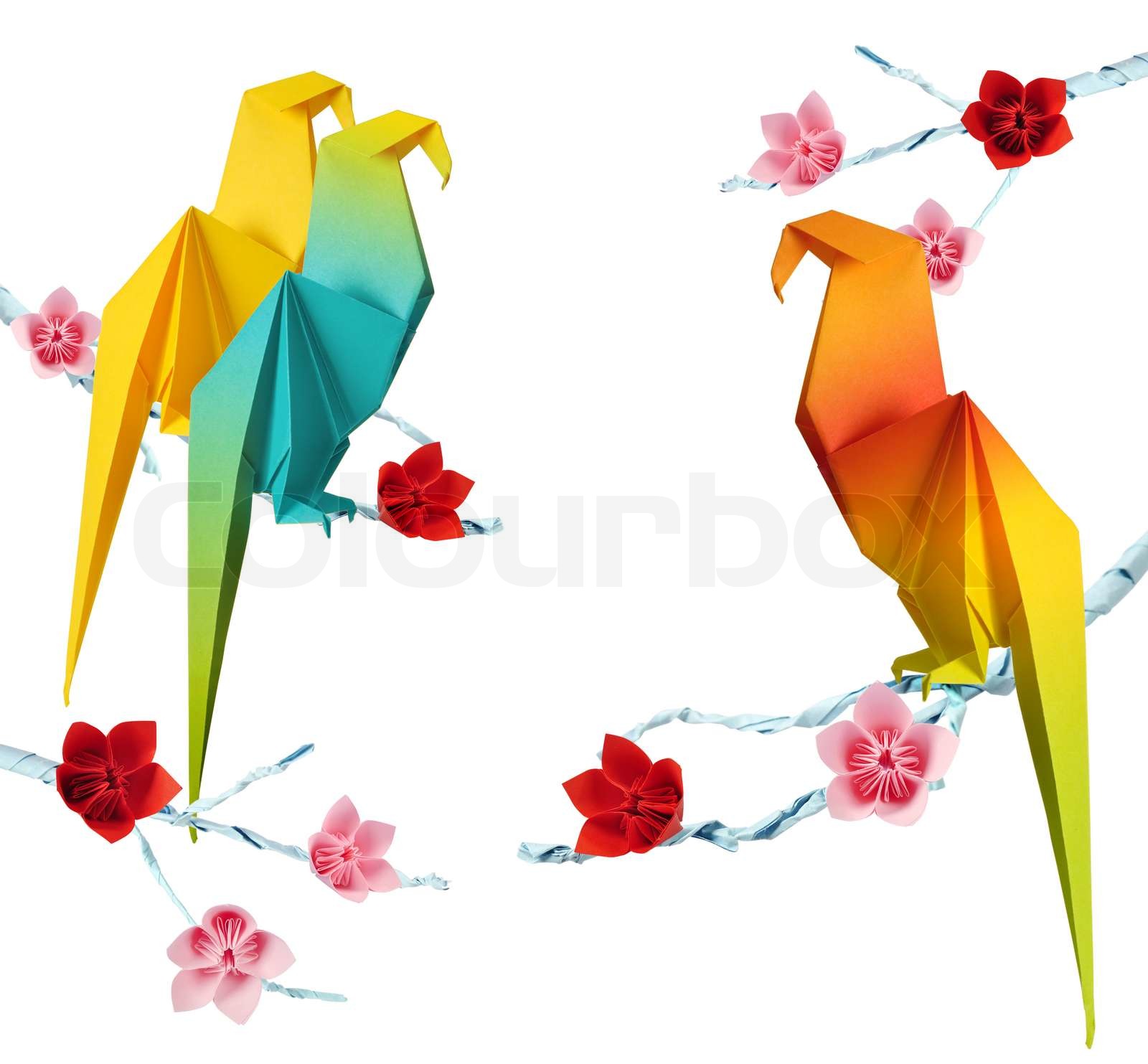 Origami parrots | Stock image | Colourbox