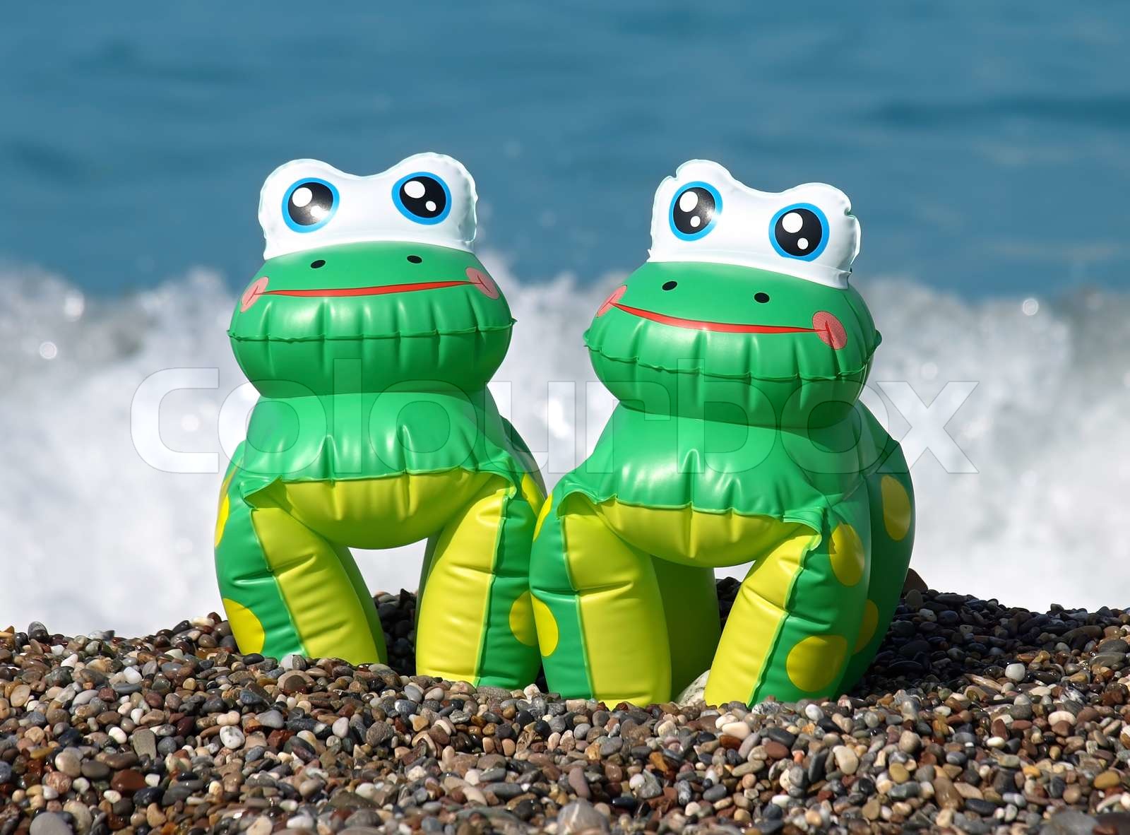 stones beach frogs | Stock image | Colourbox