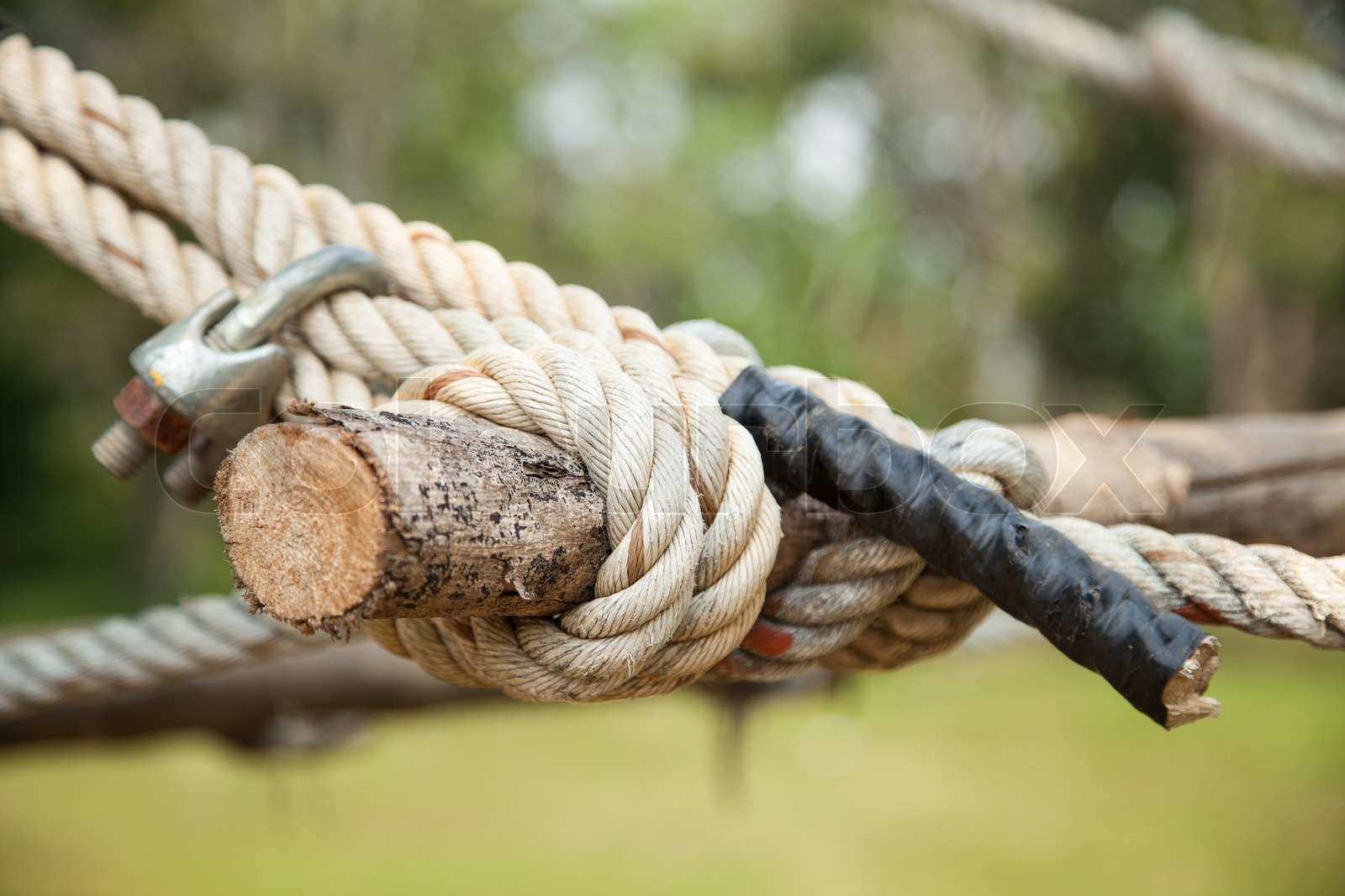 Rope fastened to the timber | Stock image | Colourbox