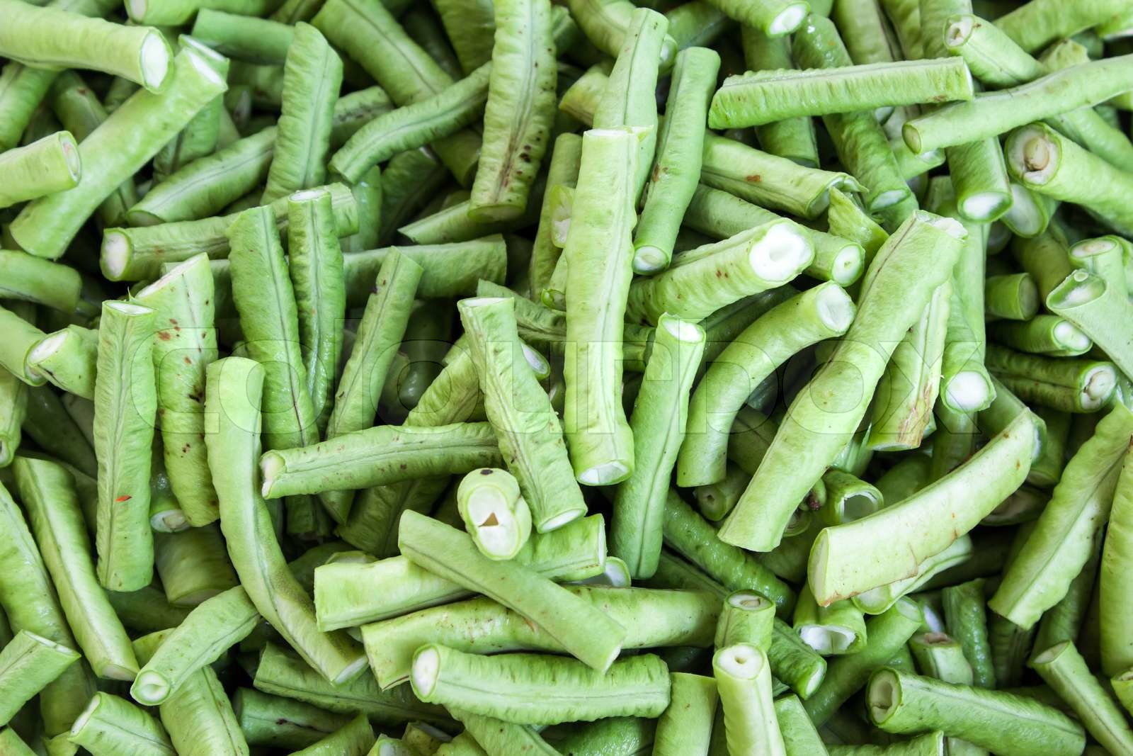 Vigna unguiculata subsp | Stock Bild | Colourbox