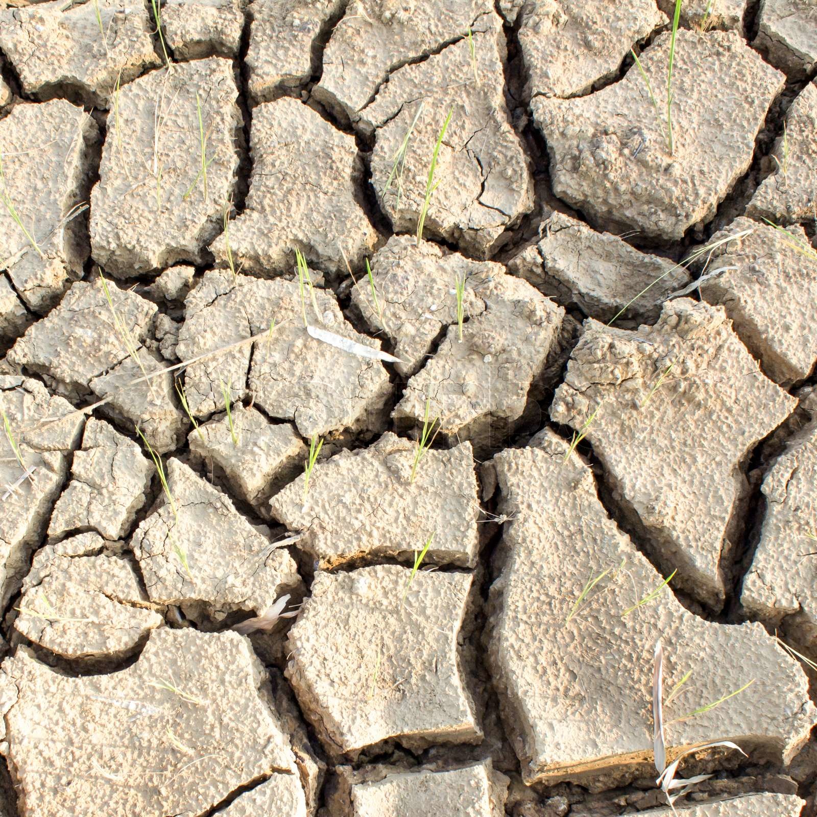 Cracked Ground Baggrund | Stock foto | Colourbox