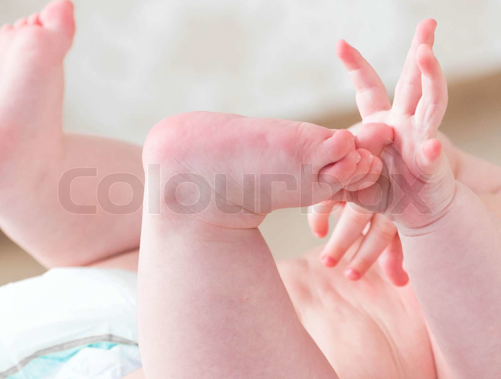 Legs and hands newborn baby | Stock image | Colourbox