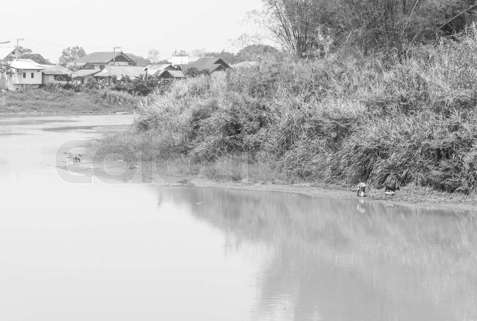 Polluted water of dried out lake during drought | Stock image | Colourbox