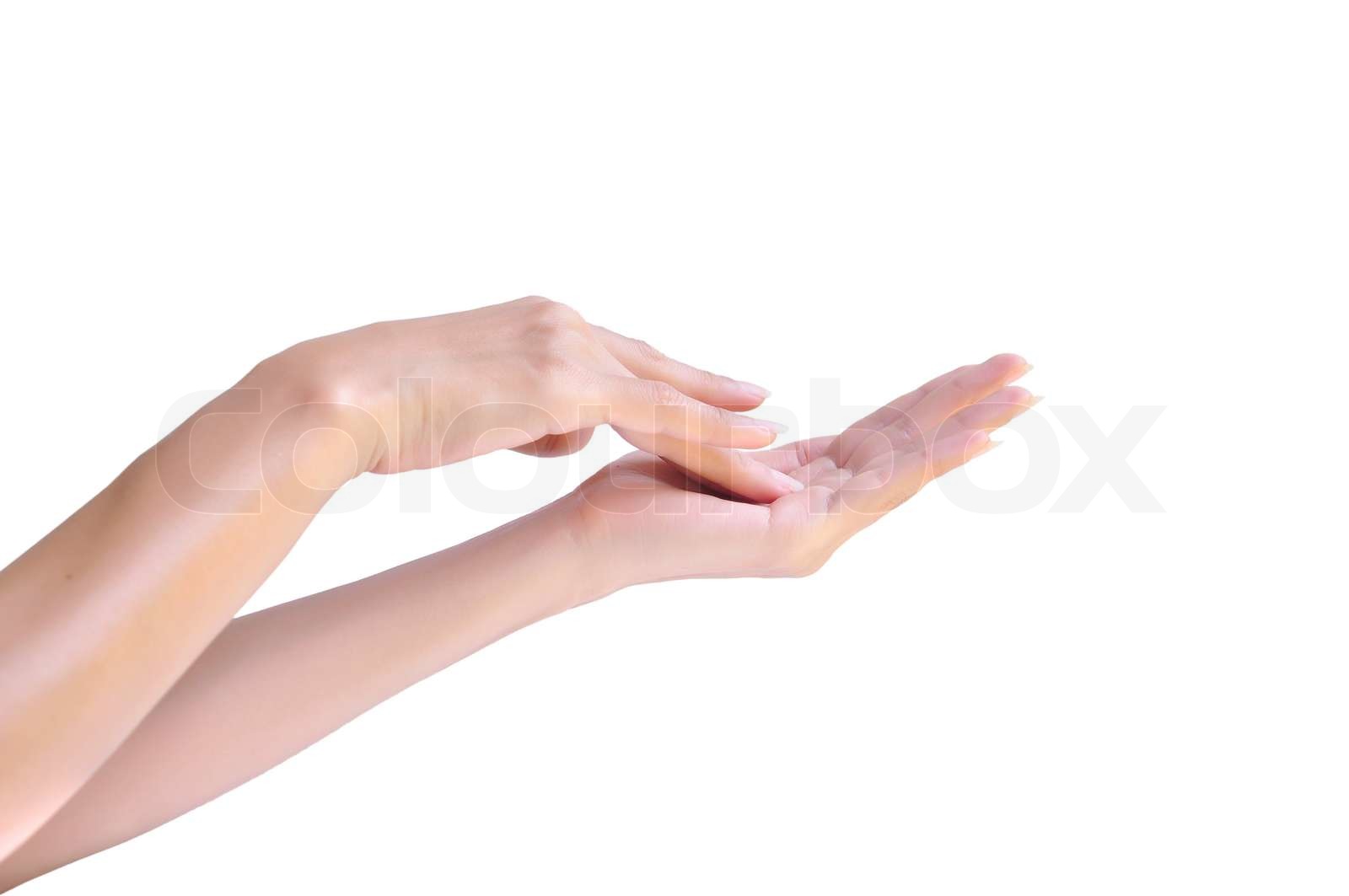 Woman hand | Stock image | Colourbox