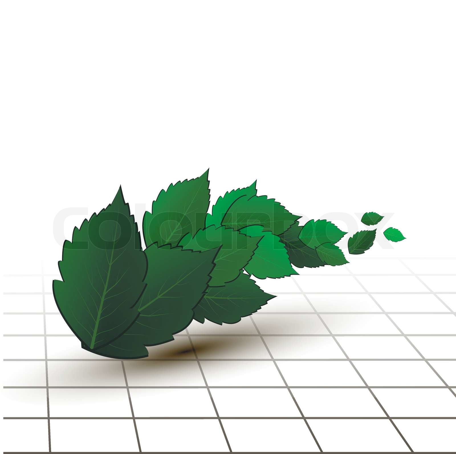 Spring - fresh green leaf Vector illustration | Stock vector | Colourbox