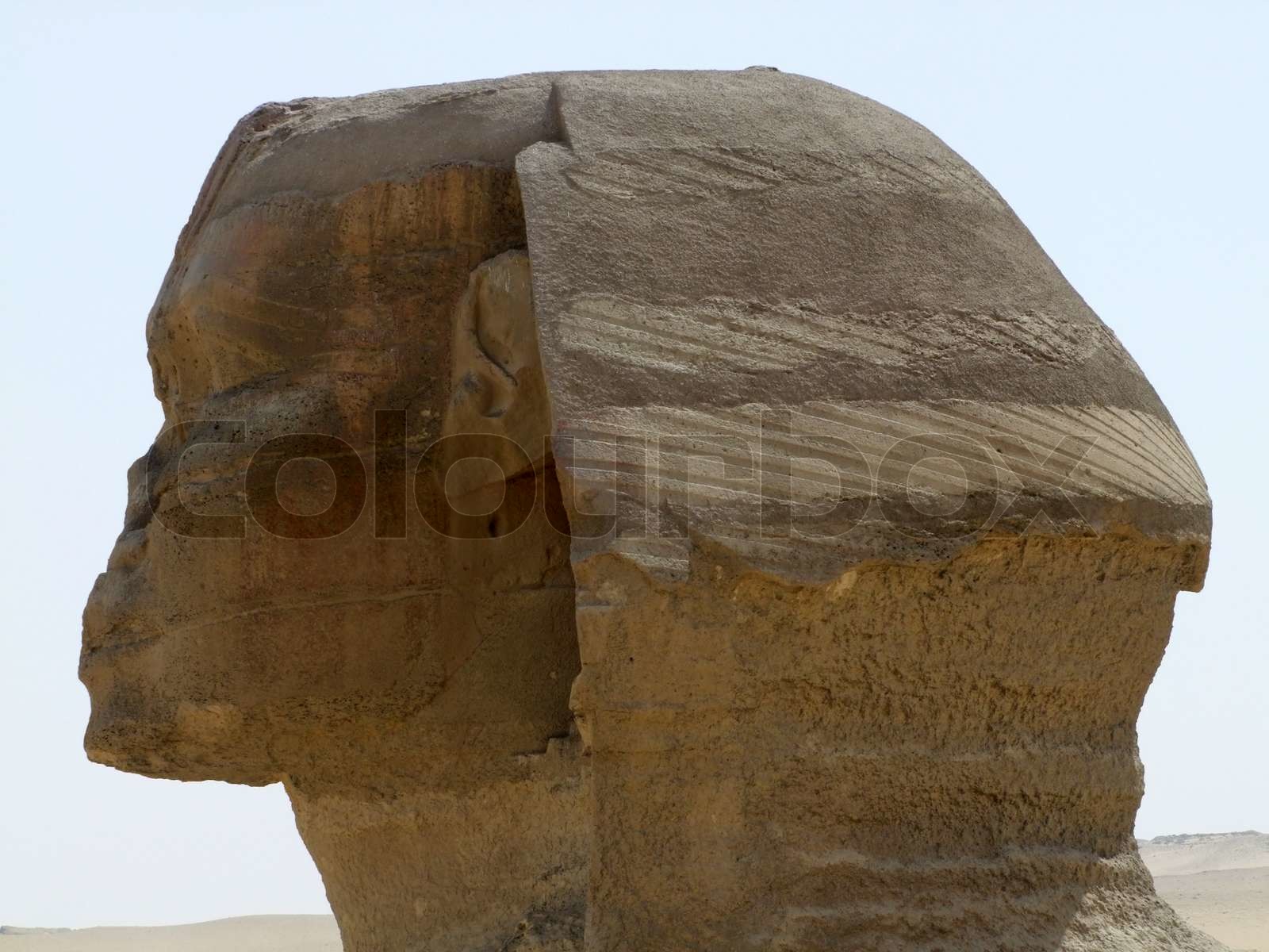 Sphinx head profile | Stock image | Colourbox