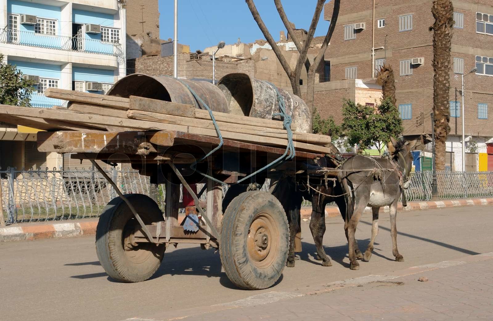 donkey cart in Egypt | Stock image | Colourbox