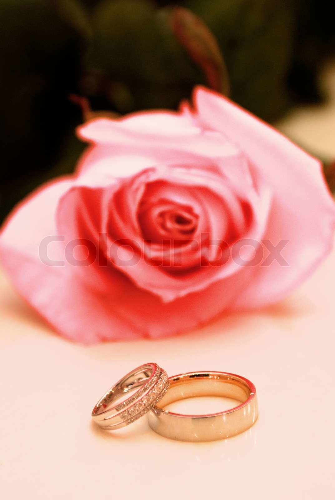 Wedding Rings | Stock image | Colourbox
