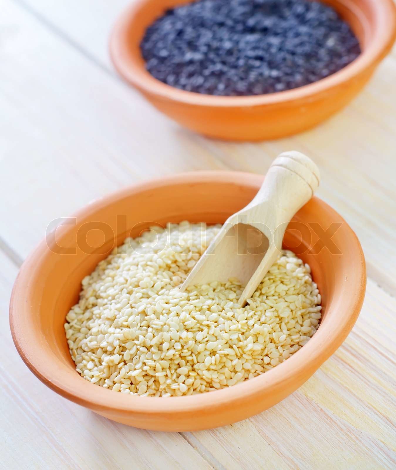 sesame | Stock image | Colourbox