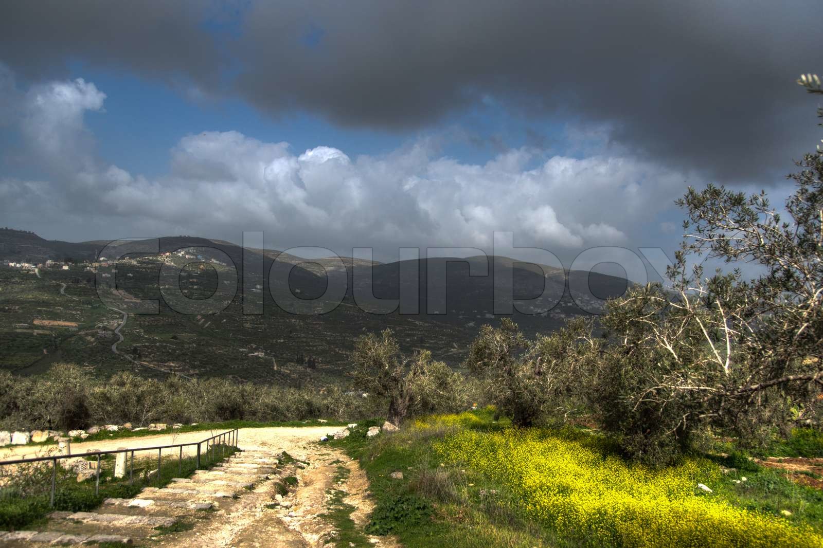 Sebastia archeology ancient ruins | Stock image | Colourbox
