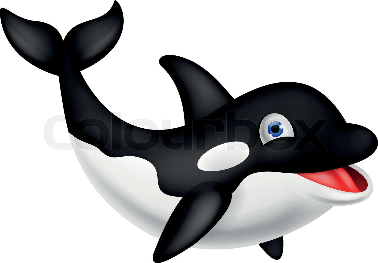 Orca cartoon | Stock vector | Colourbox