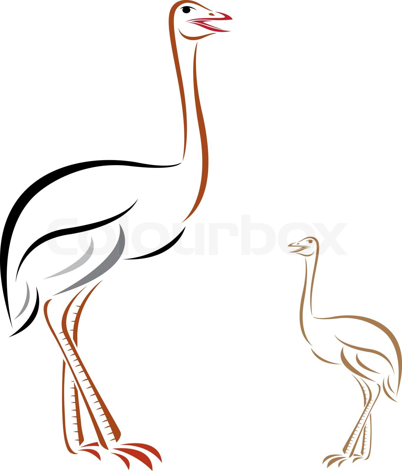 Vector image of an ostrich | Stock vector | Colourbox