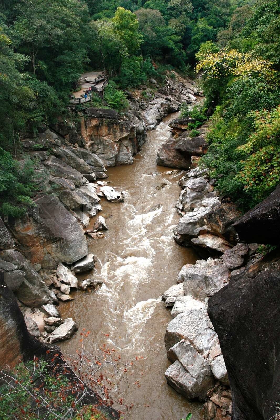 Rainforest River in Thailand | Stock image | Colourbox