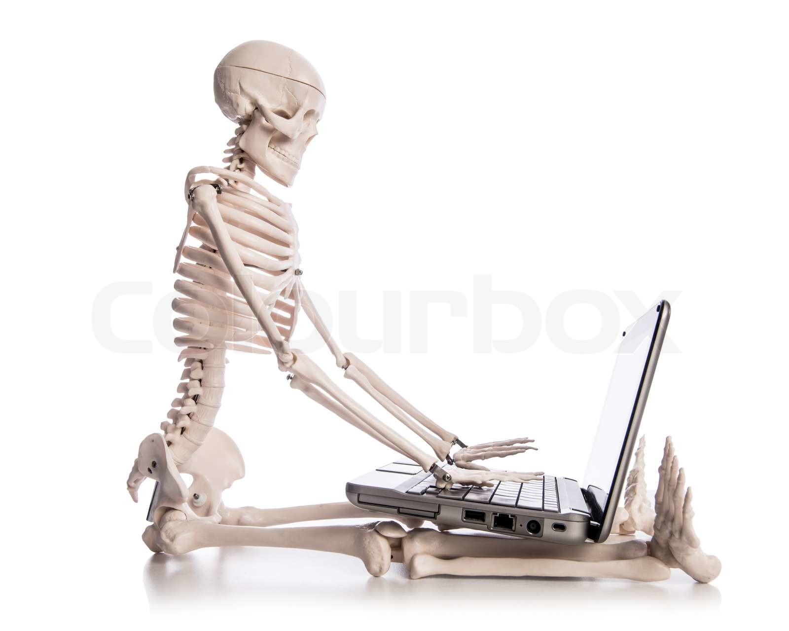 Skeleton working on laptop | Stock image | Colourbox