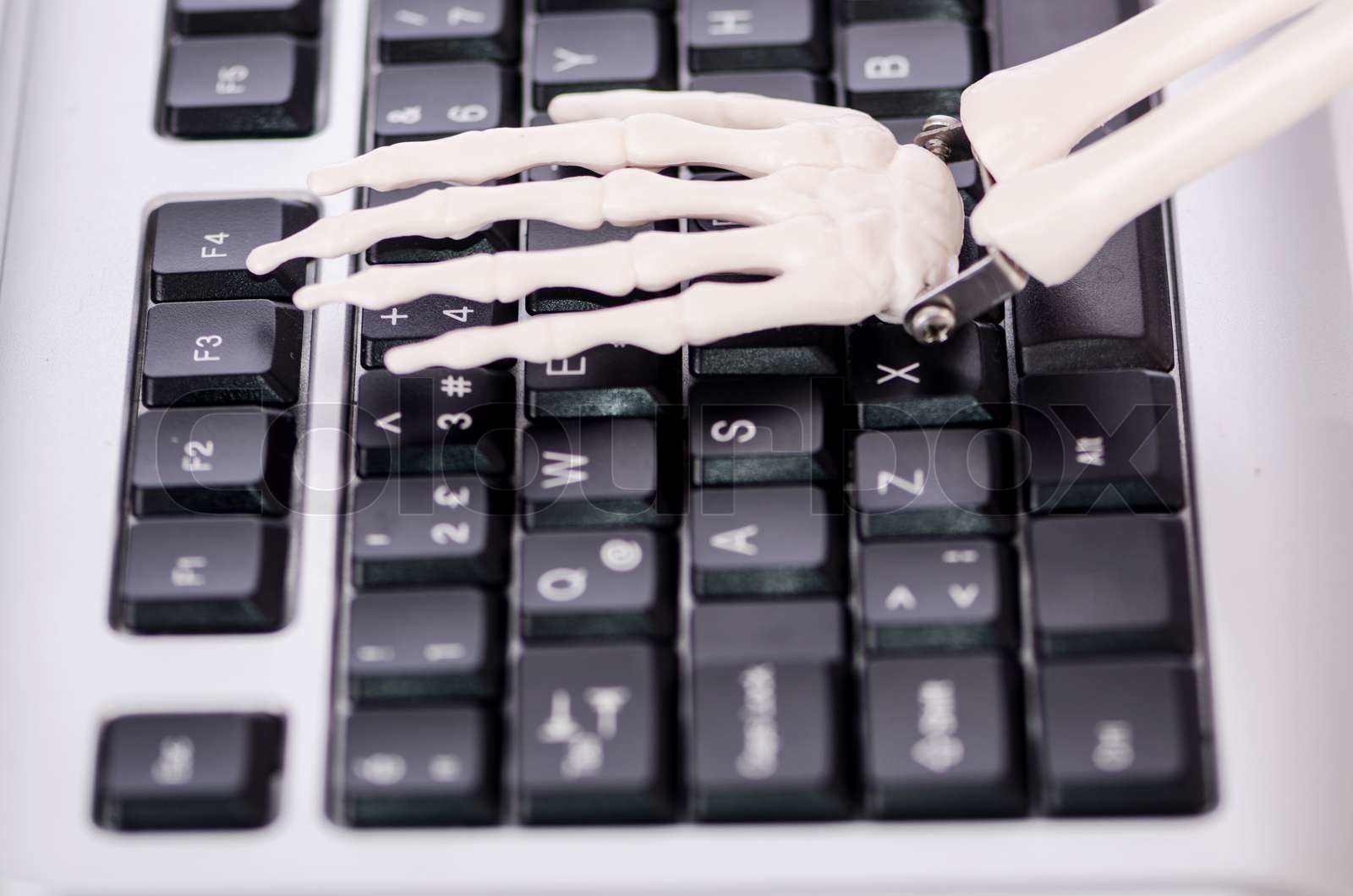 Skeleton working on the keyboard | Stock image | Colourbox