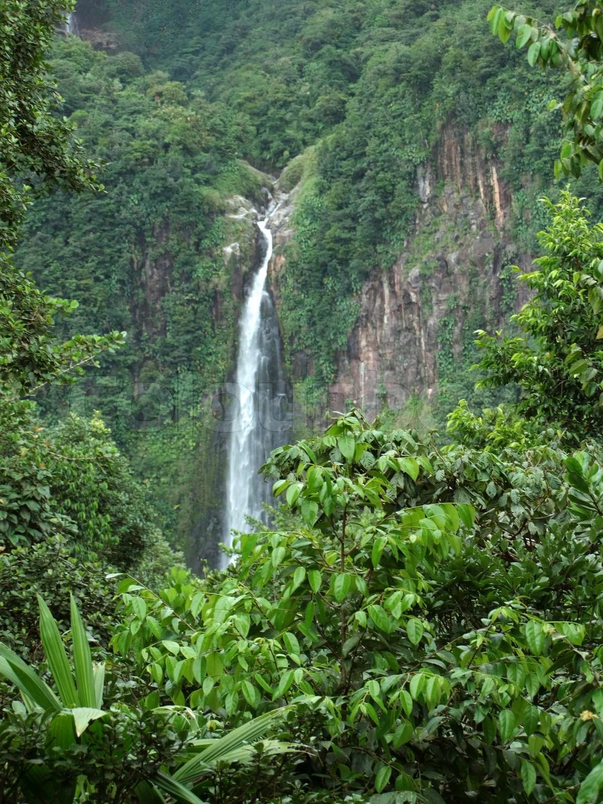 caribbean waterfall | Stock image | Colourbox