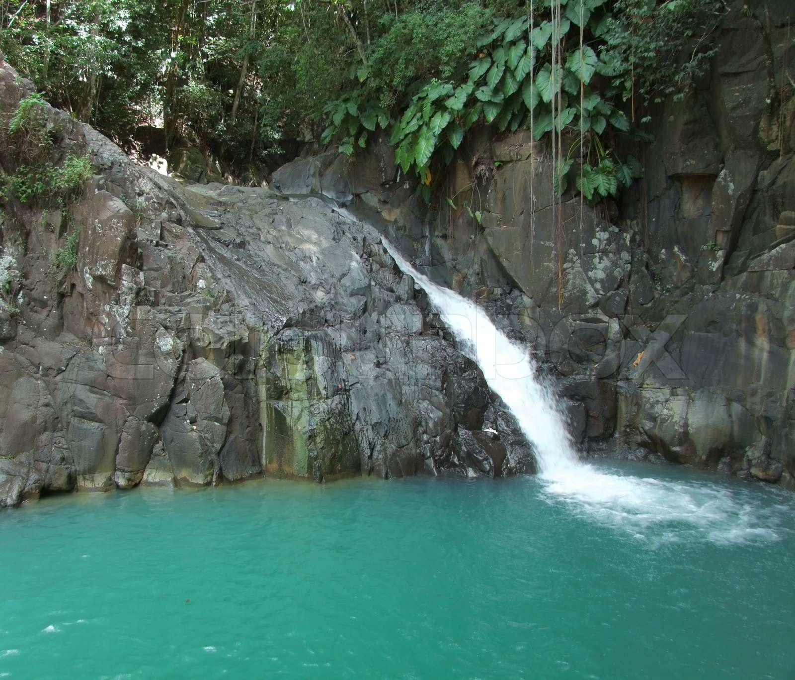 caribbean waterfall | Stock image | Colourbox