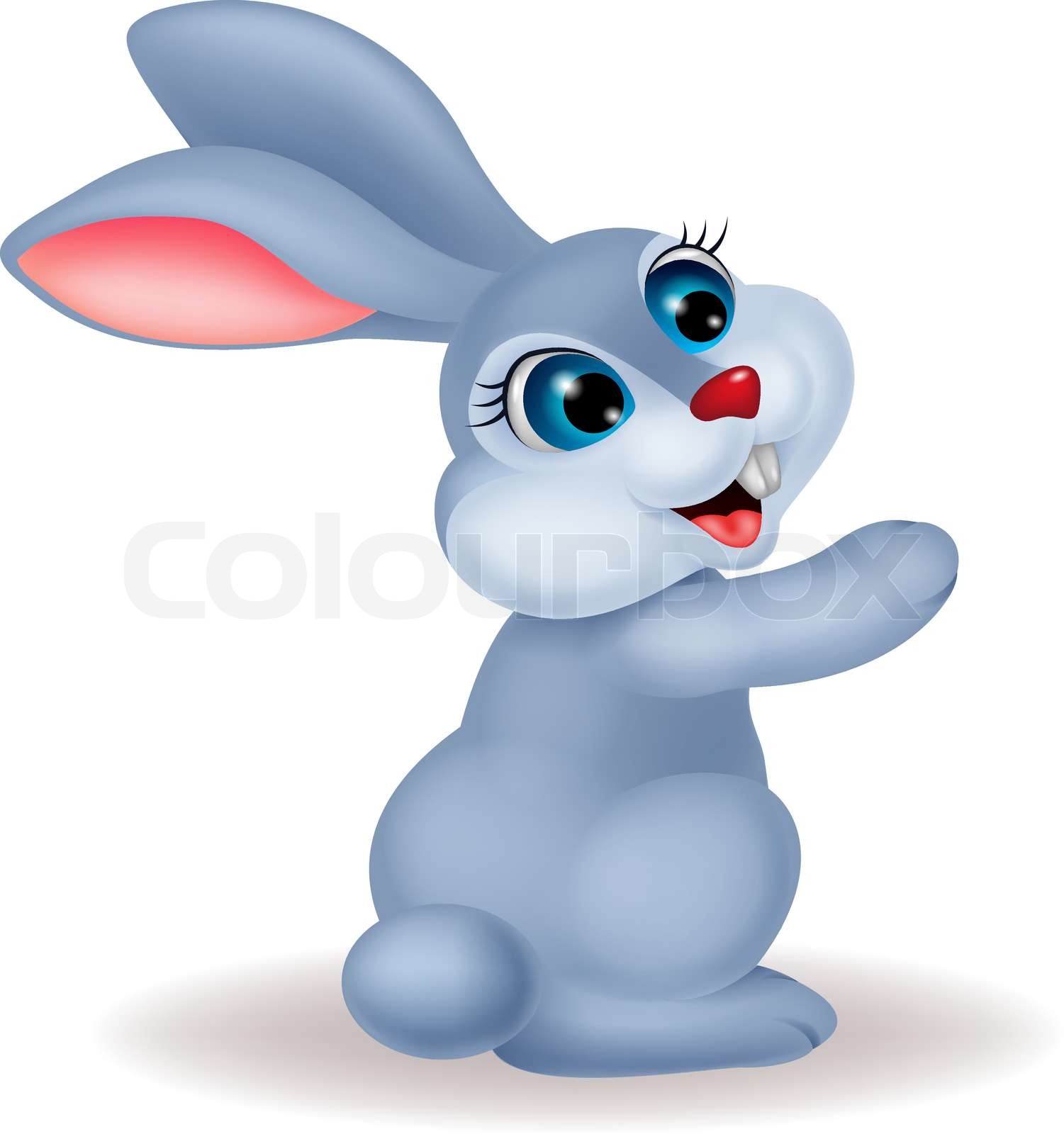 Cute Rabbit Animation