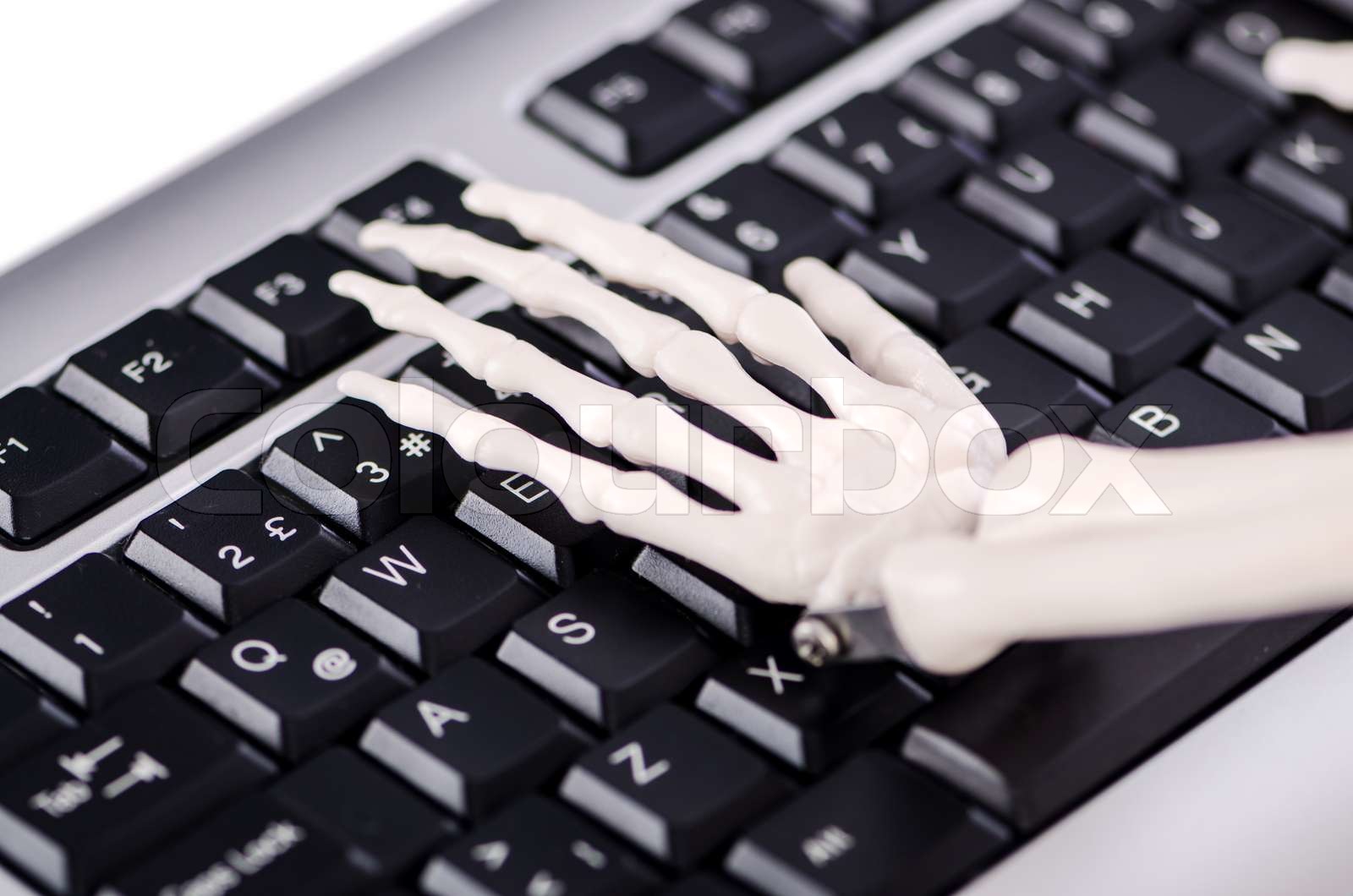 Skeleton working on the keyboard | Stock image | Colourbox