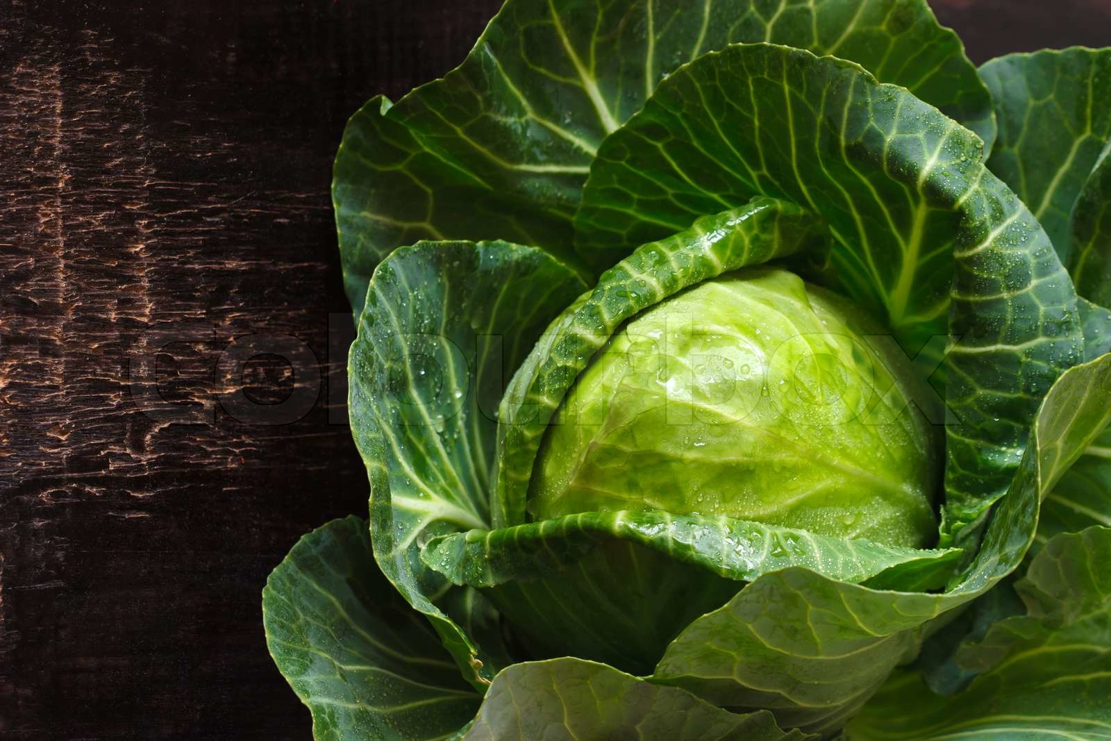Fresh cabbage | Stock image | Colourbox