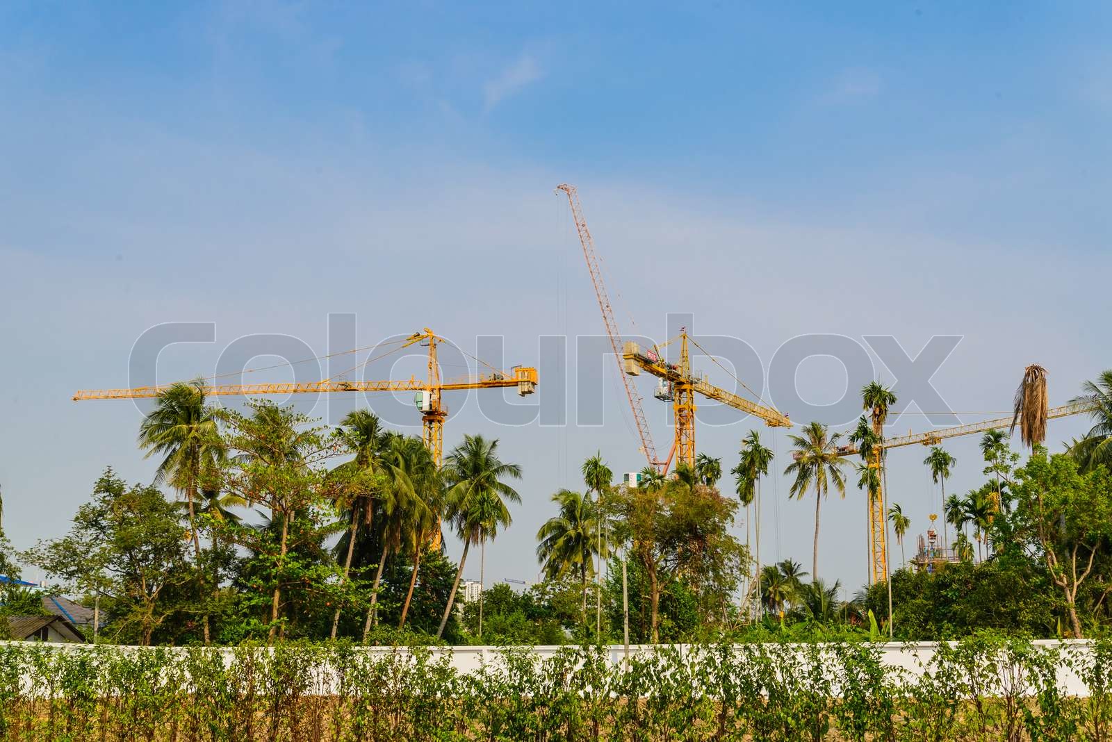 Crane | Stock image | Colourbox