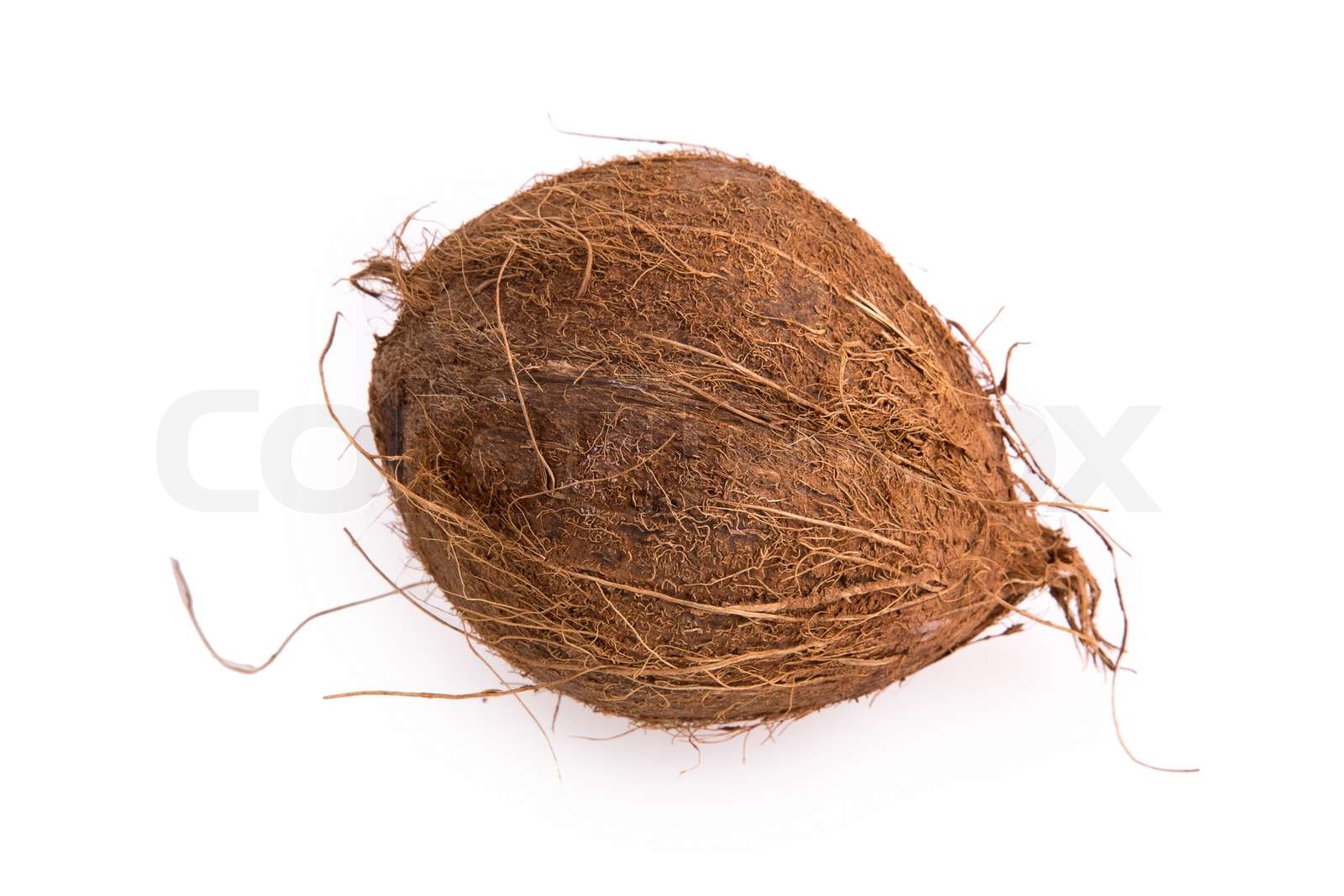 coconut | Stock image | Colourbox