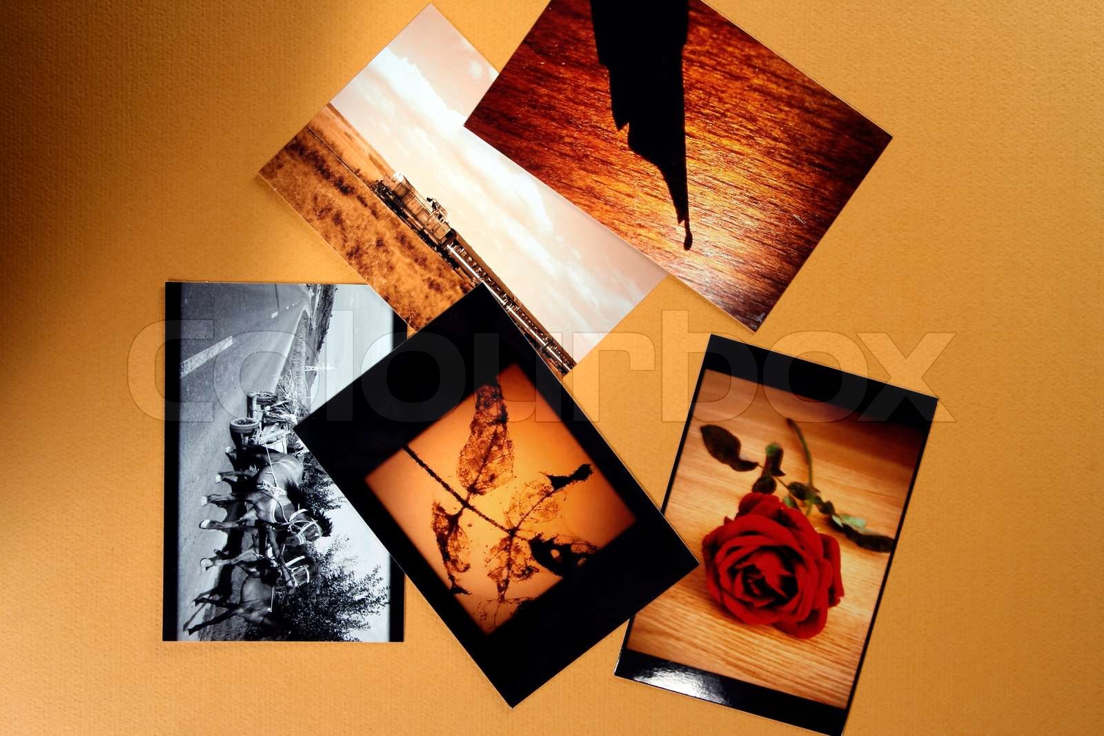 Photo Album | Stock image | Colourbox