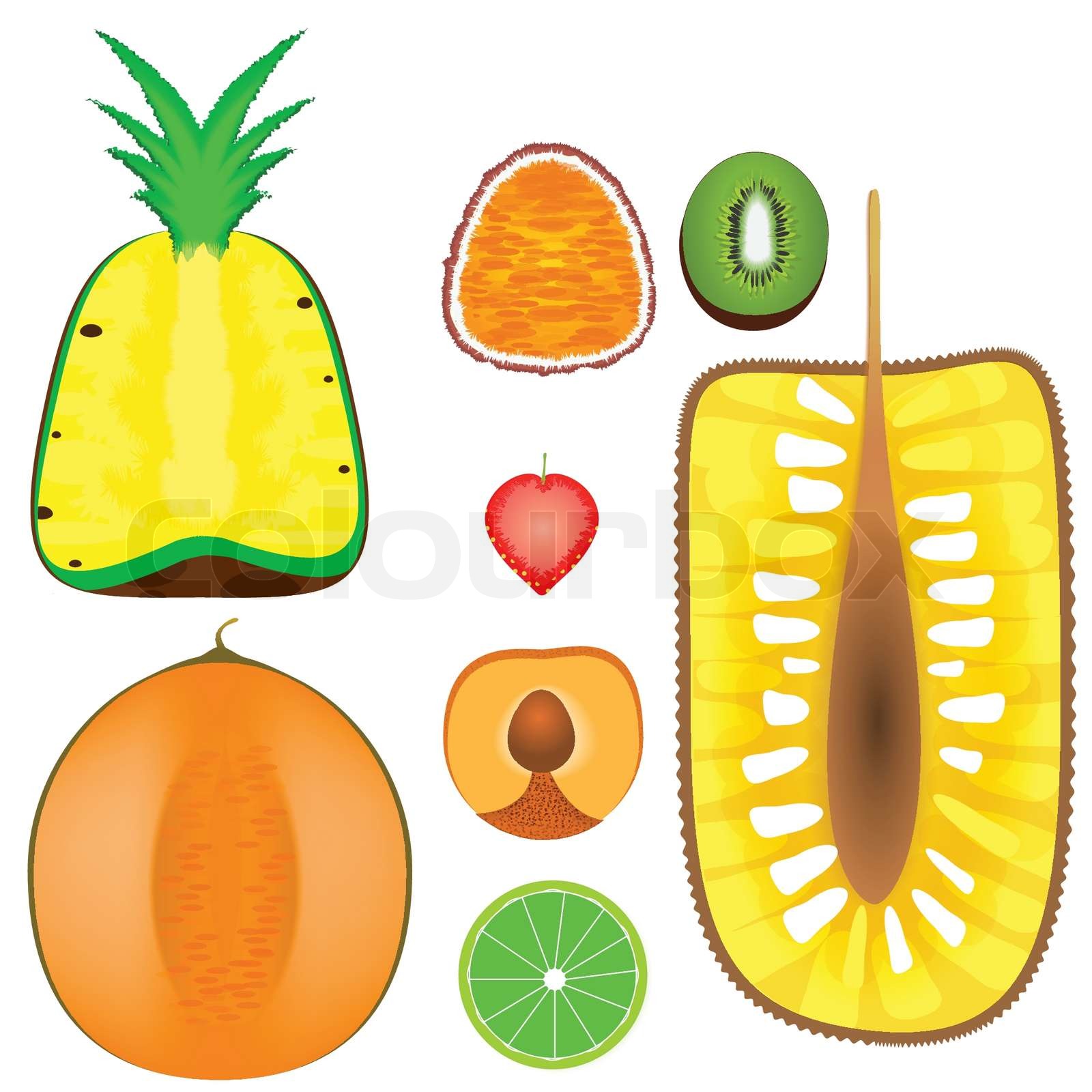 fruits were cut as pieces.Vector eps10. | Stock vector | Colourbox