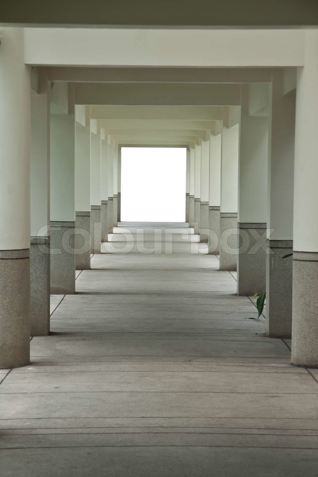 Pathway | Stock image | Colourbox