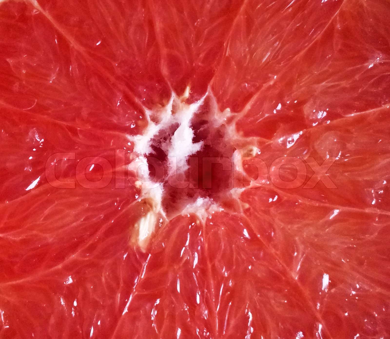 Grapefruit close-up | Stock image | Colourbox