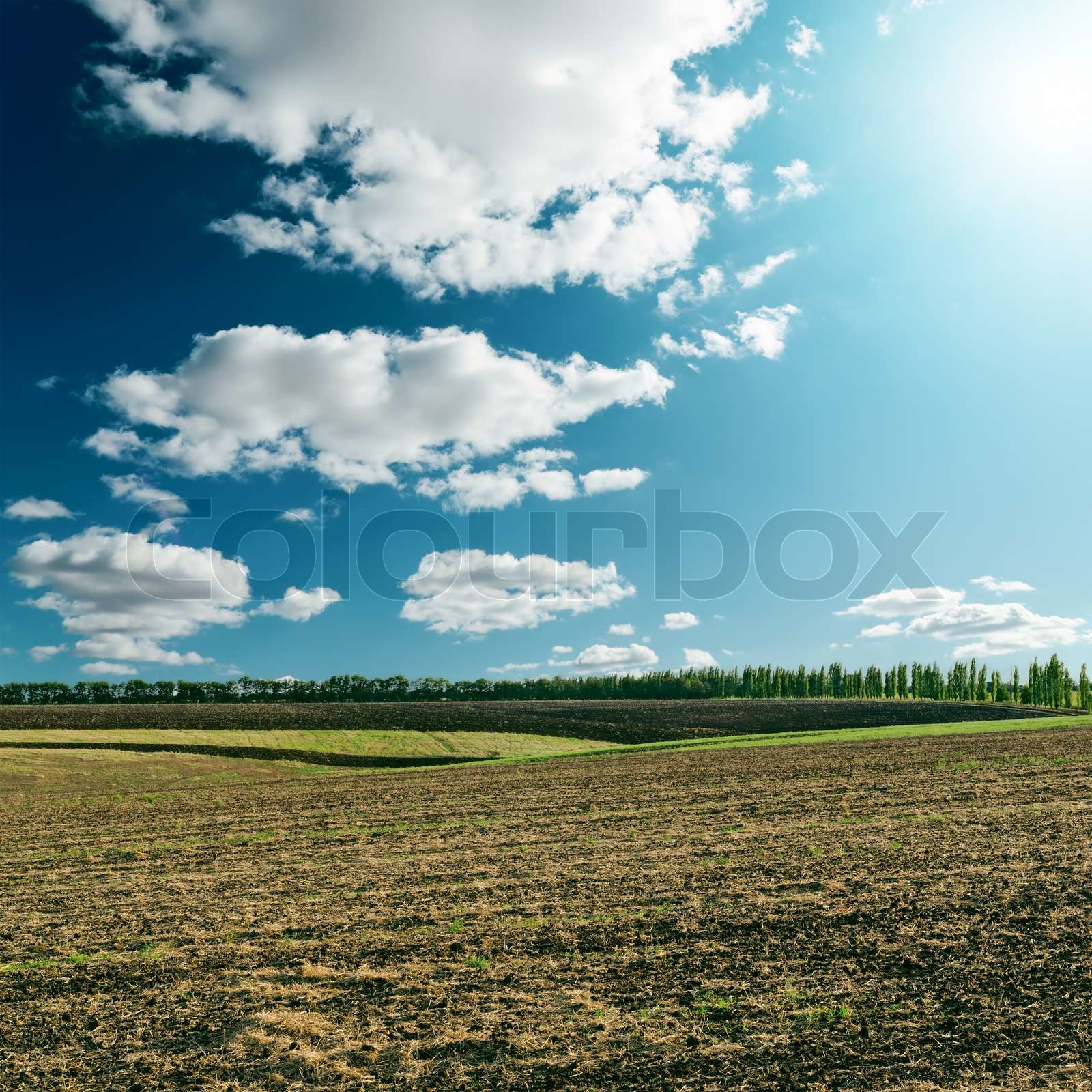 overskyet himmel med sol over mark | Stock foto | Colourbox