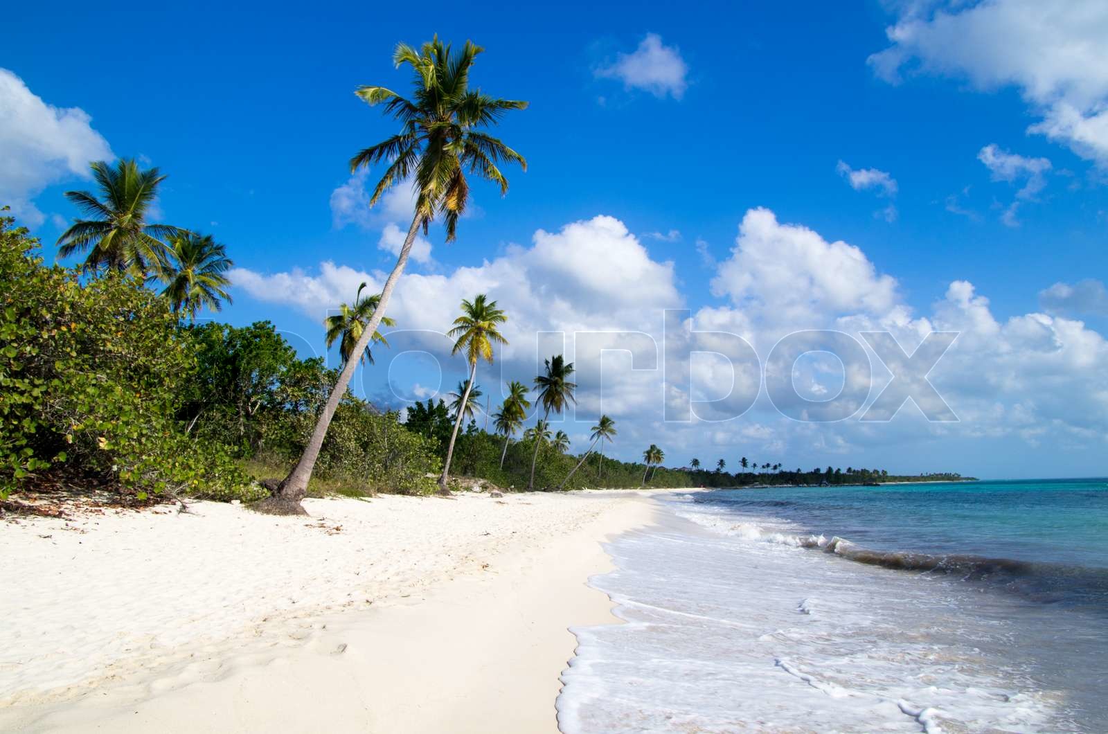 beach | Stock image | Colourbox