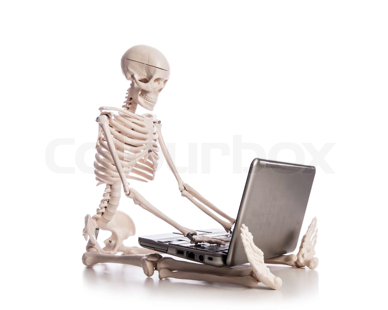 Skeleton working on laptop | Stock image | Colourbox