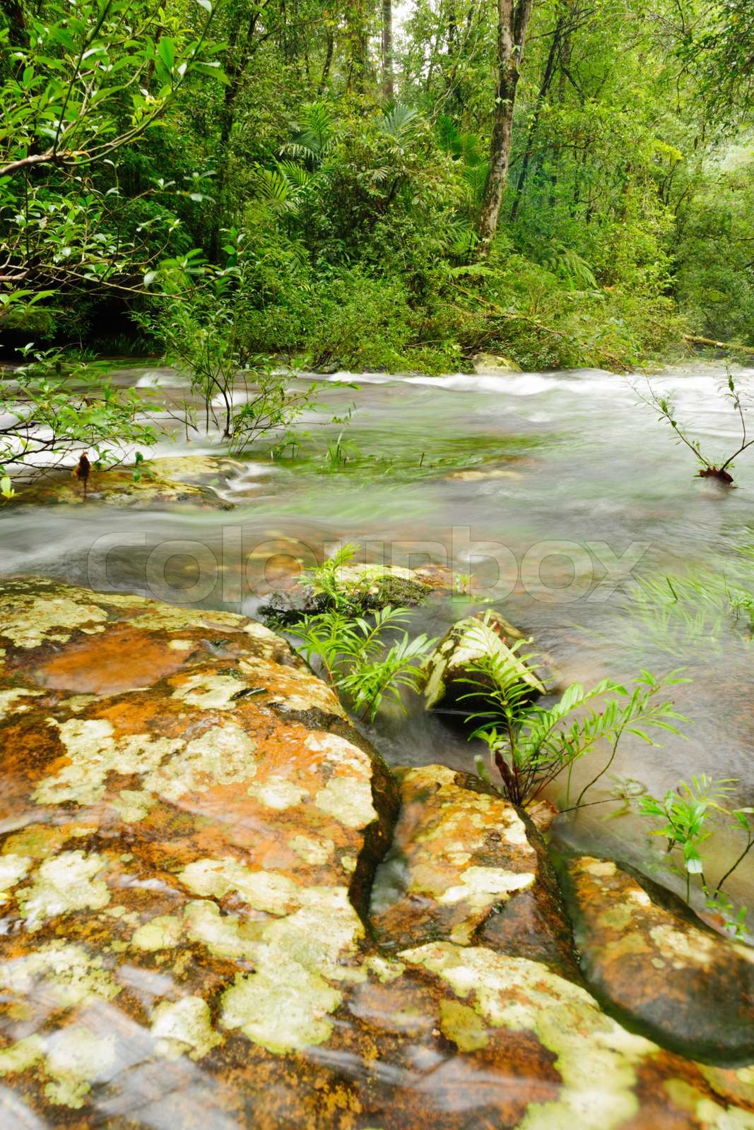 Die schöne kleine Wasserfall am Regenwald , Thailand | Stock Bild ...