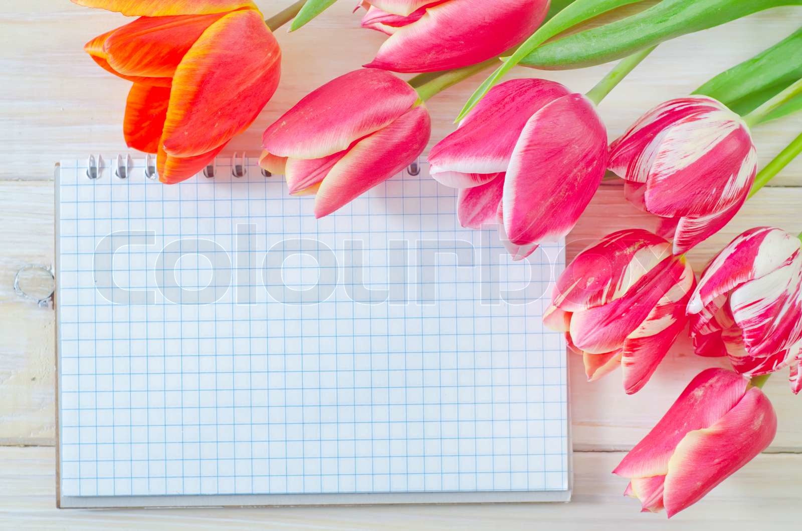 tulips and note | Stock image | Colourbox